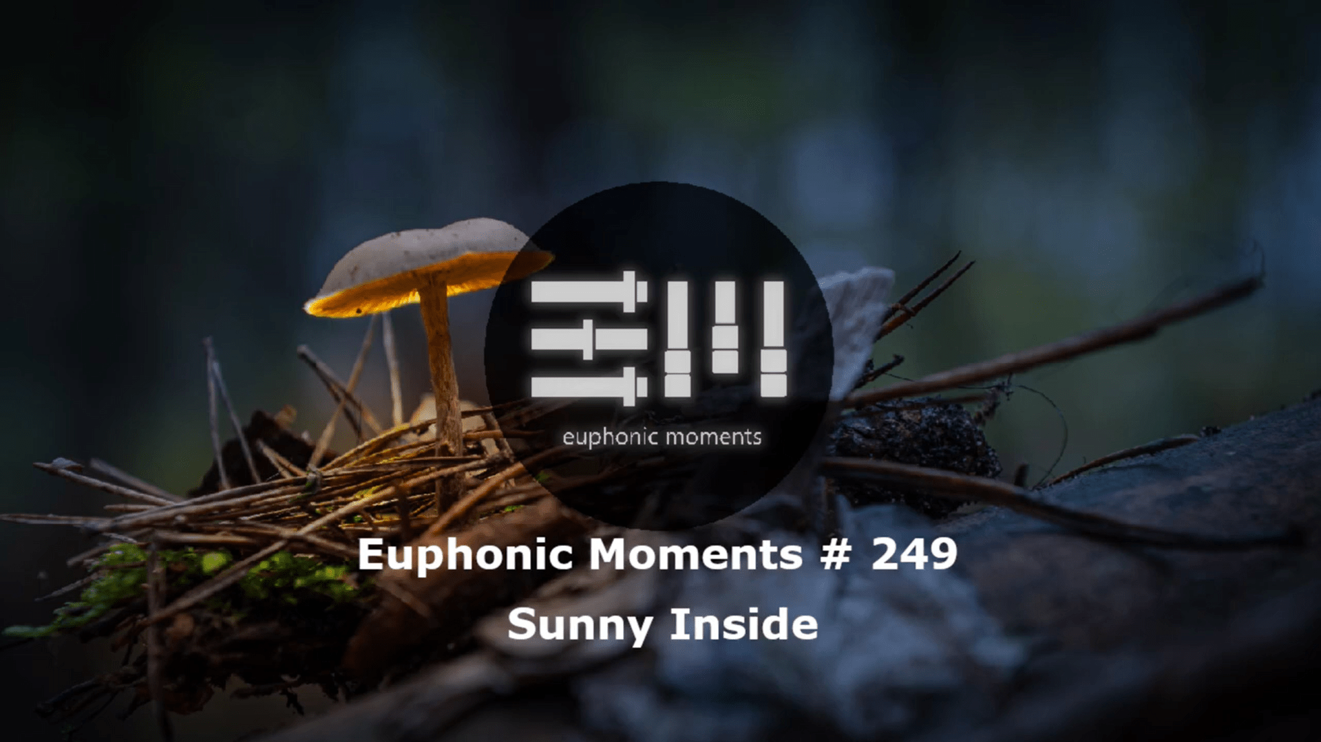 EM249 Sunny Inside | Euphonic Moments